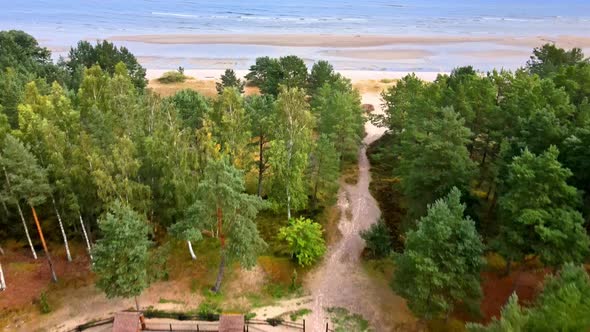 Seaside forest and the beach, Stock Footage | VideoHive