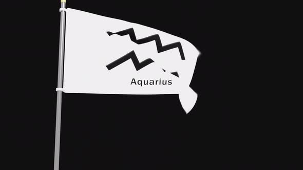 Aquarius Zodiac Animated Flag, Motion Graphics | VideoHive