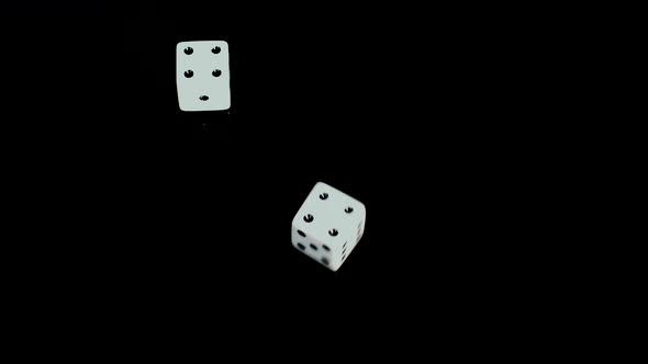 Dice Roll Four And Four Making 8 , Stock Footage | VideoHive