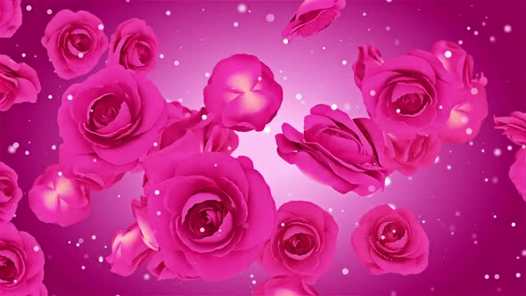 Red Roses Background, Motion Graphics | VideoHive