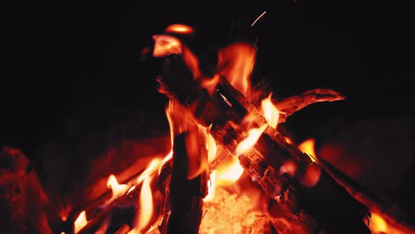 Smoldering Tree in Beautiful Bonfire at Night in the Forest, Stock Footage