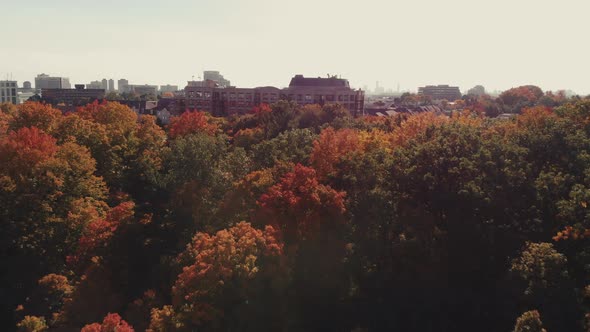 Fall colour over Don Valley Parkway Toronto Ontario Canada, Stock Footage