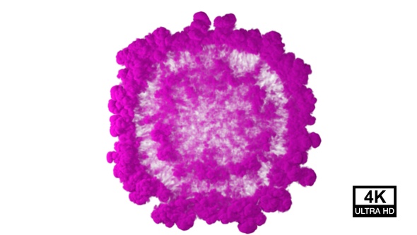 Pink Color Powder Shockwave Explosion 4K, Motion Graphics | VideoHive