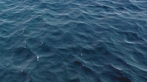 Ocean, Motion Graphics | VideoHive