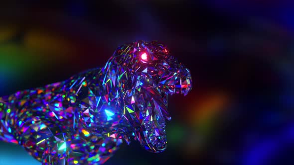 Collection of Diamond Animals, Motion Graphics | VideoHive
