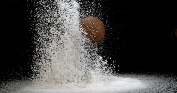 Coconut, cocos nucifera, Fruit and Powder Exploding against Black ...