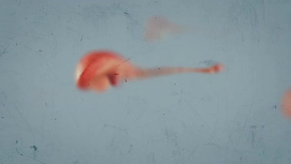 detecting or observing an unknown life form in a murky liquid, Motion ...