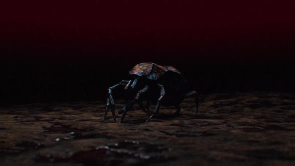 Aucasaurus 4K Dinosaur by 3DAnimals | VideoHive