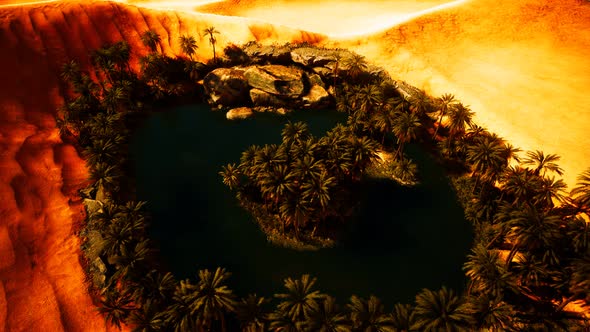 Top Down Aerial View of Oasis in Desert, Motion Graphics | VideoHive