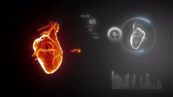 Heart Blood Pumping. Coronary Circulation. Science And Health Related ...