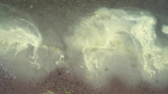 surface of a polluted body of water, Stock Footage | VideoHive