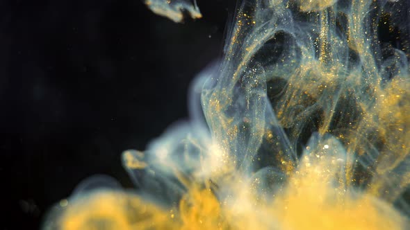 Spider Web by YB-VFX | VideoHive