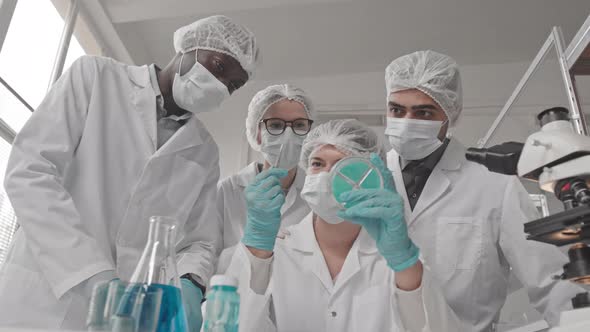 Scientists Observing Petri Dish, Stock Footage | VideoHive