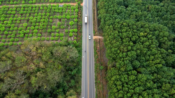 4K Aerial view over a farmer's garden. A car drives on a road near a ...