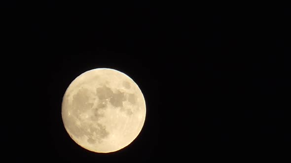 Full Moon rising up detailed., Stock Footage | VideoHive