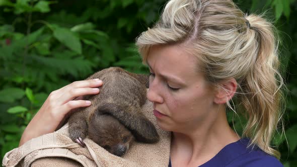 pretty vet petting baby sloth on her shoulder 4k, Stock Footage | VideoHive