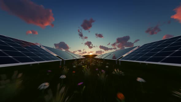 Solar Panels At Sunrise 4K, Motion Graphics | VideoHive