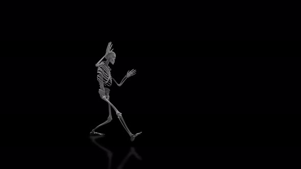 Skeleton Dancing on Isolated Black Background, Motion Graphics | VideoHive