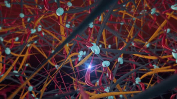 Neurons Nerve Impulses Loop, Motion Graphics | VideoHive