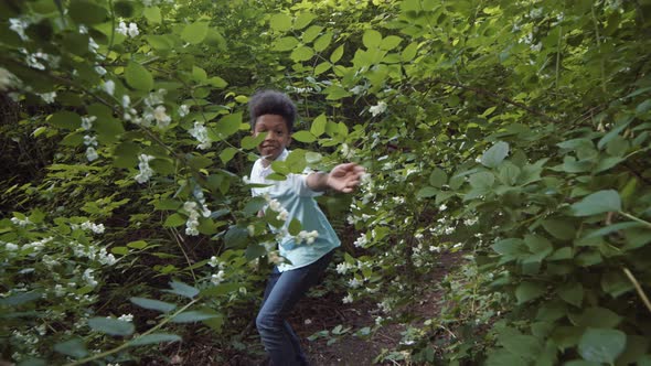 Boys Running between Bushes, Stock Footage | VideoHive