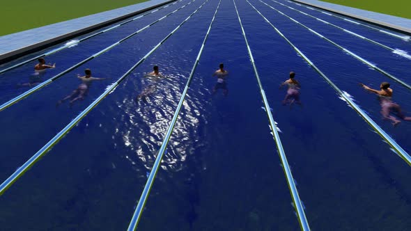 Olympic Swimming Pool, Motion Graphics | VideoHive