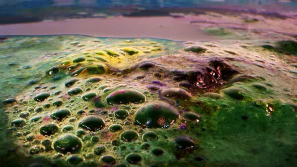 Medicine Pills Melting On Oil And Water 5, Stock Footage | VideoHive