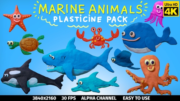 Marine Animals Plasticine Pack, Motion Graphics | VideoHive