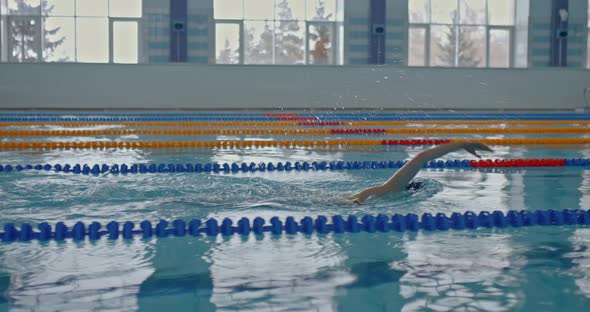Training in the Sports Pool the Swimmer is Rowing with His Hands in a ...