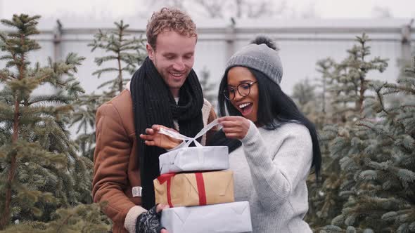 Happy Multiracial Couple Exchanging Gifts at Sprue Trees Market, Stock ...