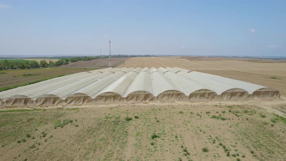 Greenhouses At Alumim Kibbutz at Sdot Negev, Israel, Stock Footage