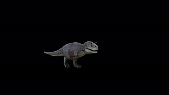 4K Carnotaurus Run, Motion Graphics | VideoHive
