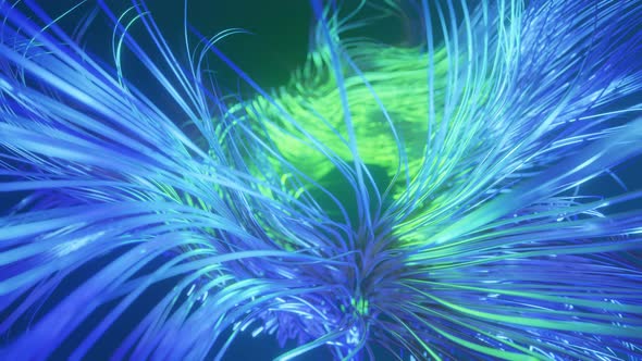 Seamless Looped Bg, Motion Graphics | VideoHive