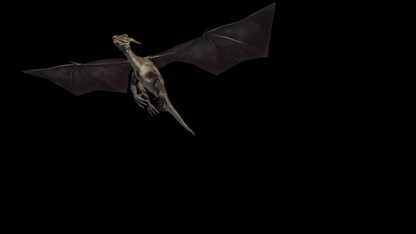 Dragon Gliding, Motion Graphics | VideoHive