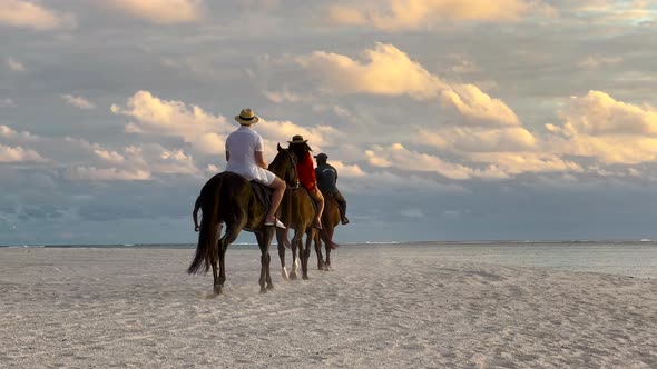 Horseback Riding on a Tropical Beach Along the Coast of Ocean, Stock ...