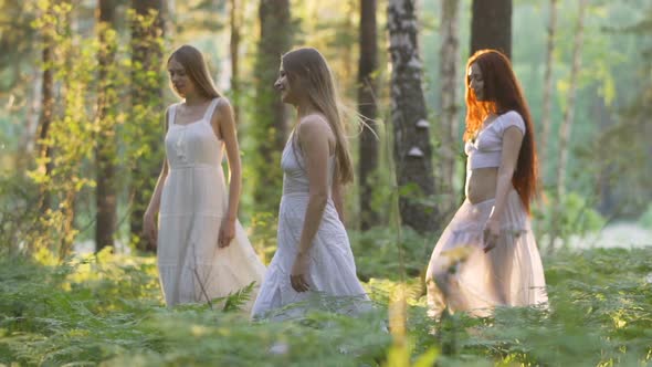 Three Beautiful Girls in White Dresses Are Walking in the Forest, Stock ...
