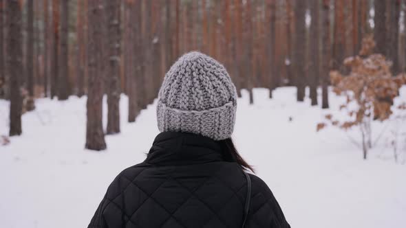 Lady Stroll Outdoors, Stock Footage | VideoHive