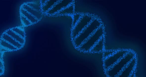 Blue Dna, Motion Graphics | VideoHive