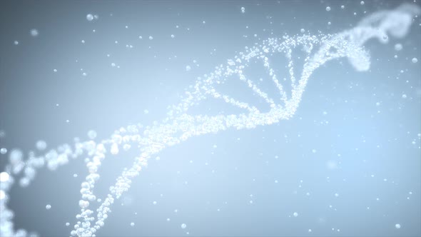 Closeup The DNA, Motion Graphics | VideoHive