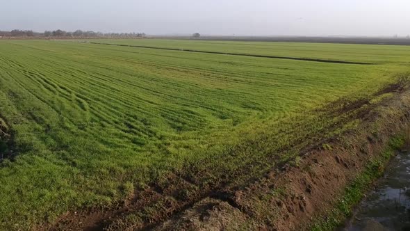 Overtake Low Shot Over Wide Agriculture Green Fields In Western Beqaa ...
