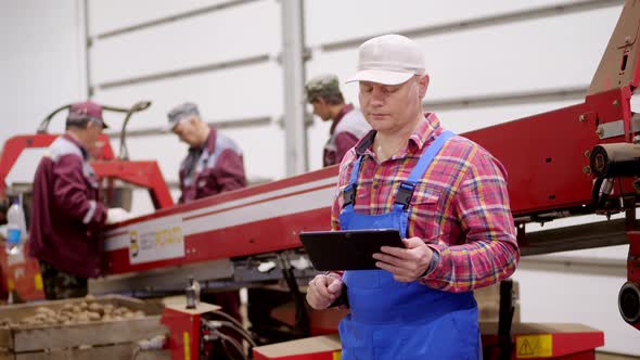 Farmer Monitor Quality of Potatoes with Digital Tablet, on Sorting ...