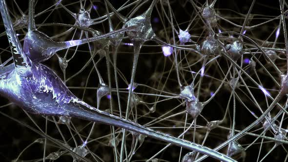 Network of Neurons and Synapses , Motion Graphics | VideoHive