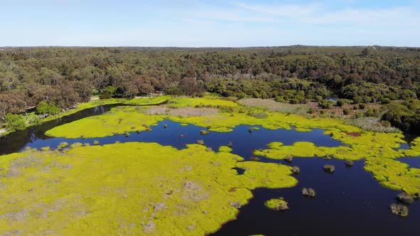 Aerial View of a Swamp, Stock Footage | VideoHive