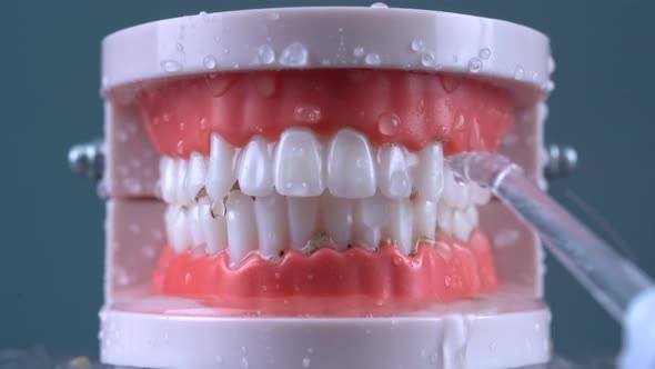 Teeth Cleaning Water Pressure, Stock Footage | VideoHive