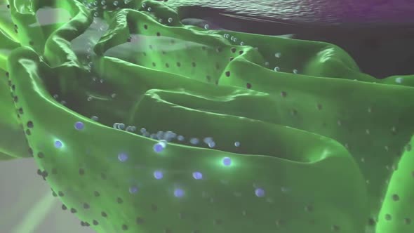 Main components of the general molecular composition of the cell ...