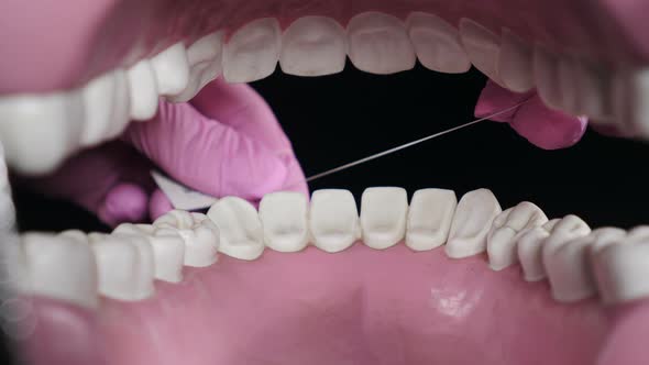 Teeth Cleaning Thread, Stock Footage | VideoHive