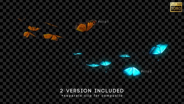 Butterfly, Motion Graphics | VideoHive