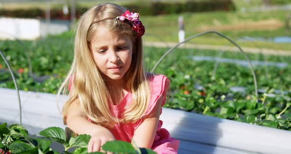 Girls picking strawberries in the farm, Stock Footage | VideoHive