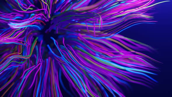 Seamless Looped Bg, Motion Graphics | VideoHive