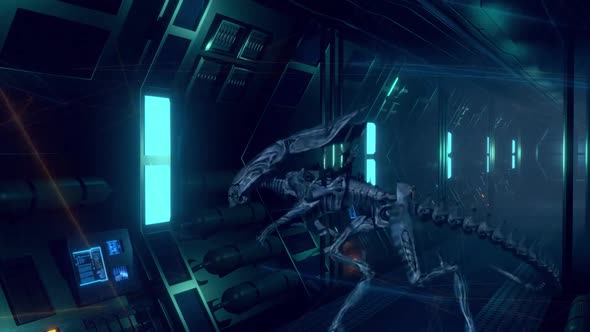 Alien, Motion Graphics | VideoHive