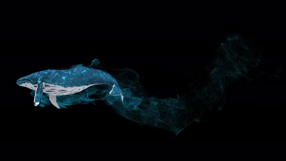 Humpback Whales Particle Flow, Motion Graphics | VideoHive